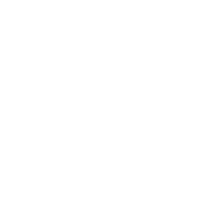 Data Catalog para Power BI | Bismart