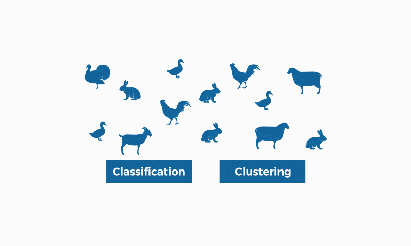 Everything You Need to Know About Data Analytics