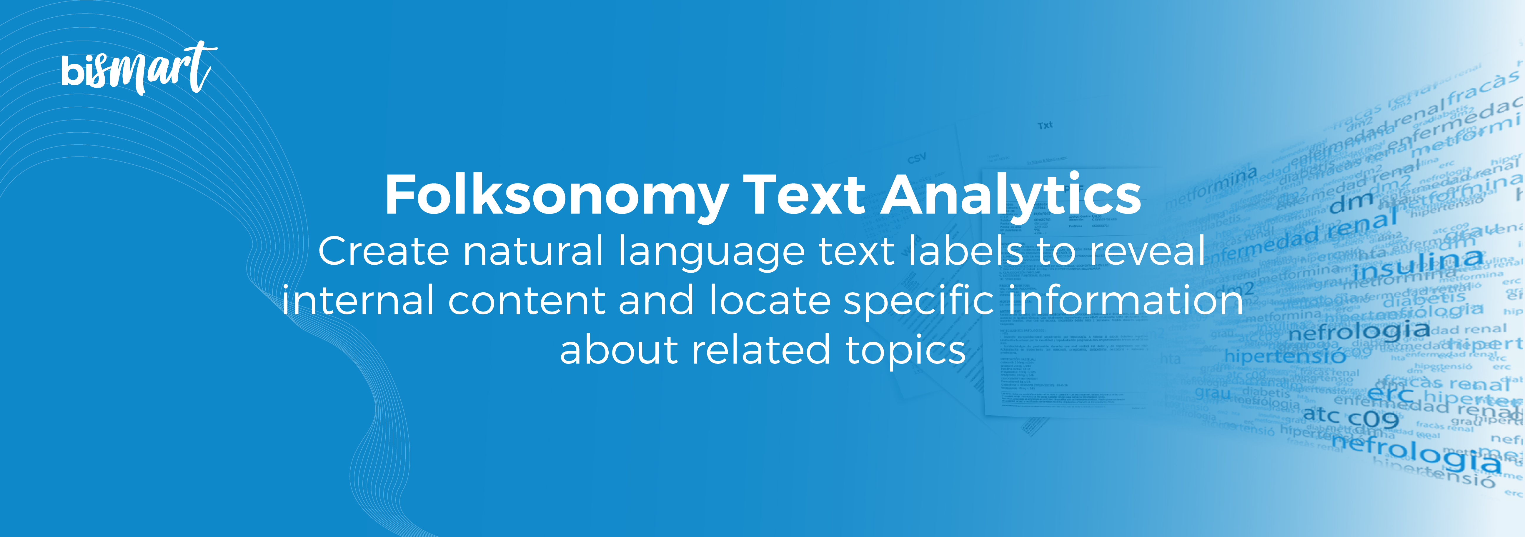Bismart Folksonomy Text Analytics